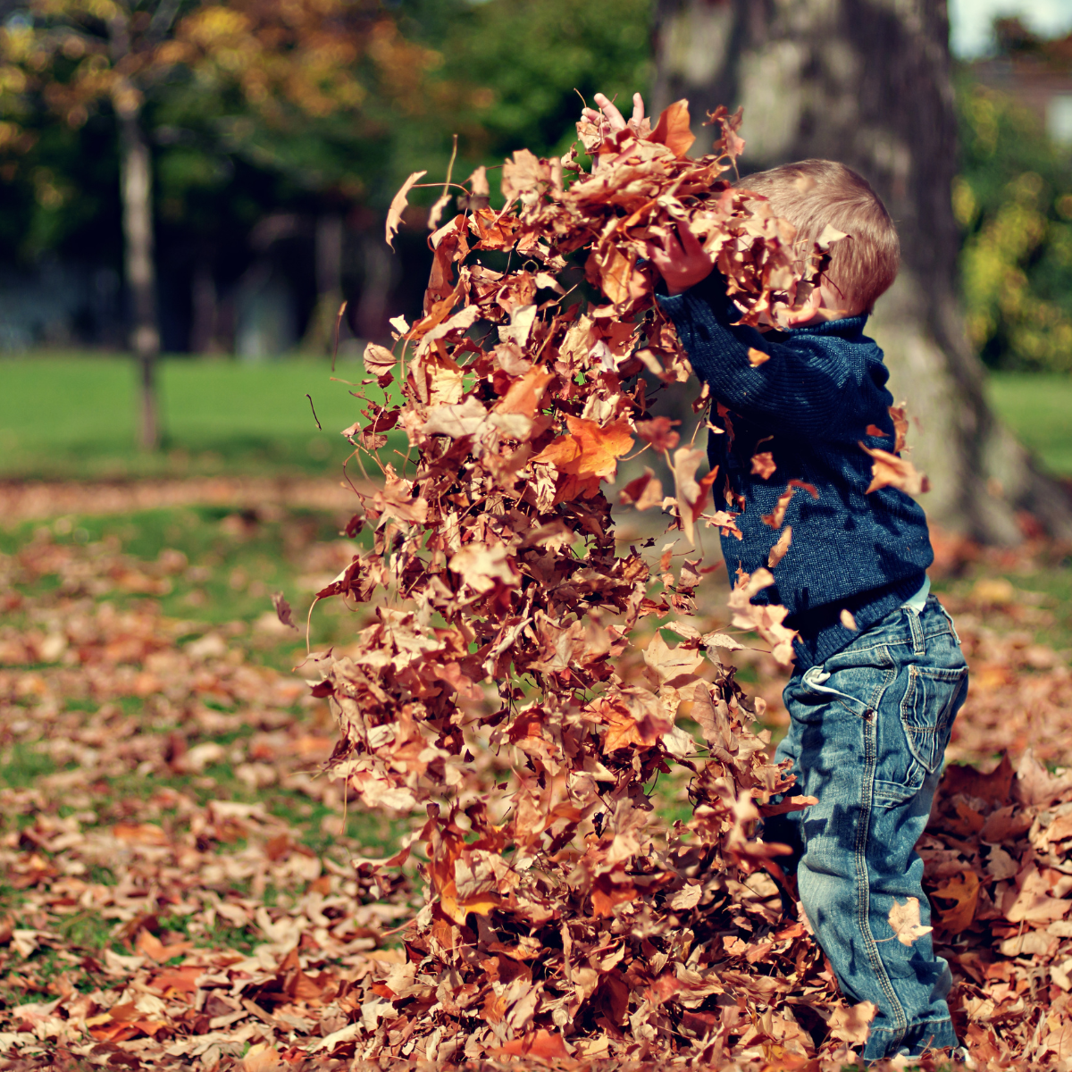 5 Fall-Perfect Adventures in Elkhart County Your Kids Will Actually ...